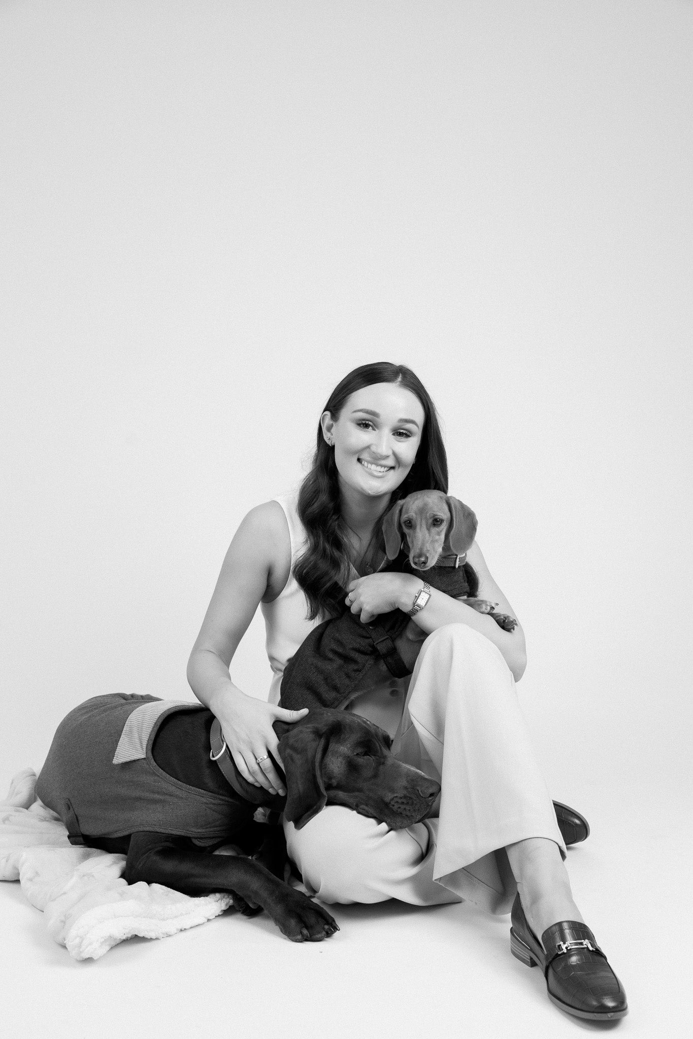 About Us – Pointer & Hound