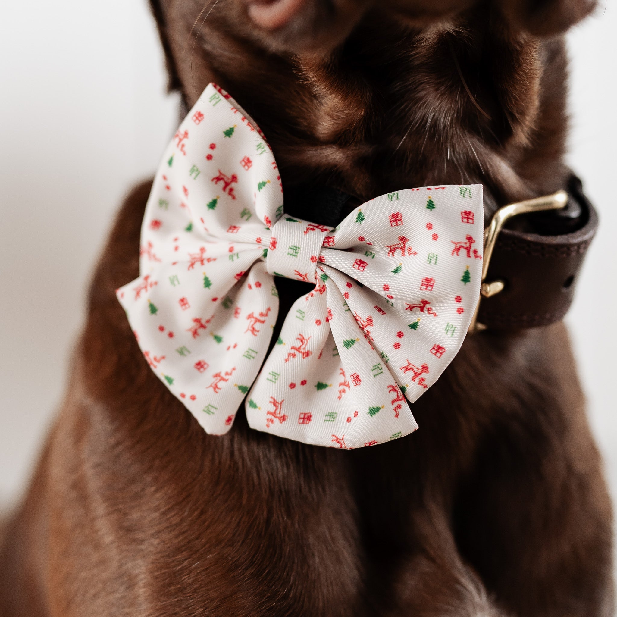 Christmas Bow Tie – Pointer & Hound