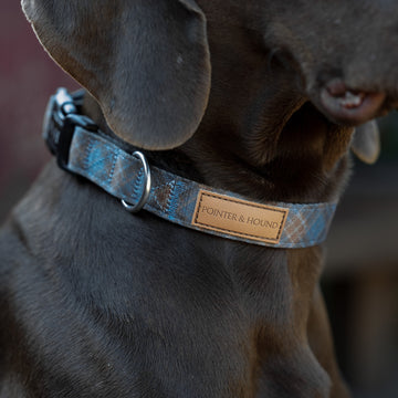 Collars – Pointer & Hound