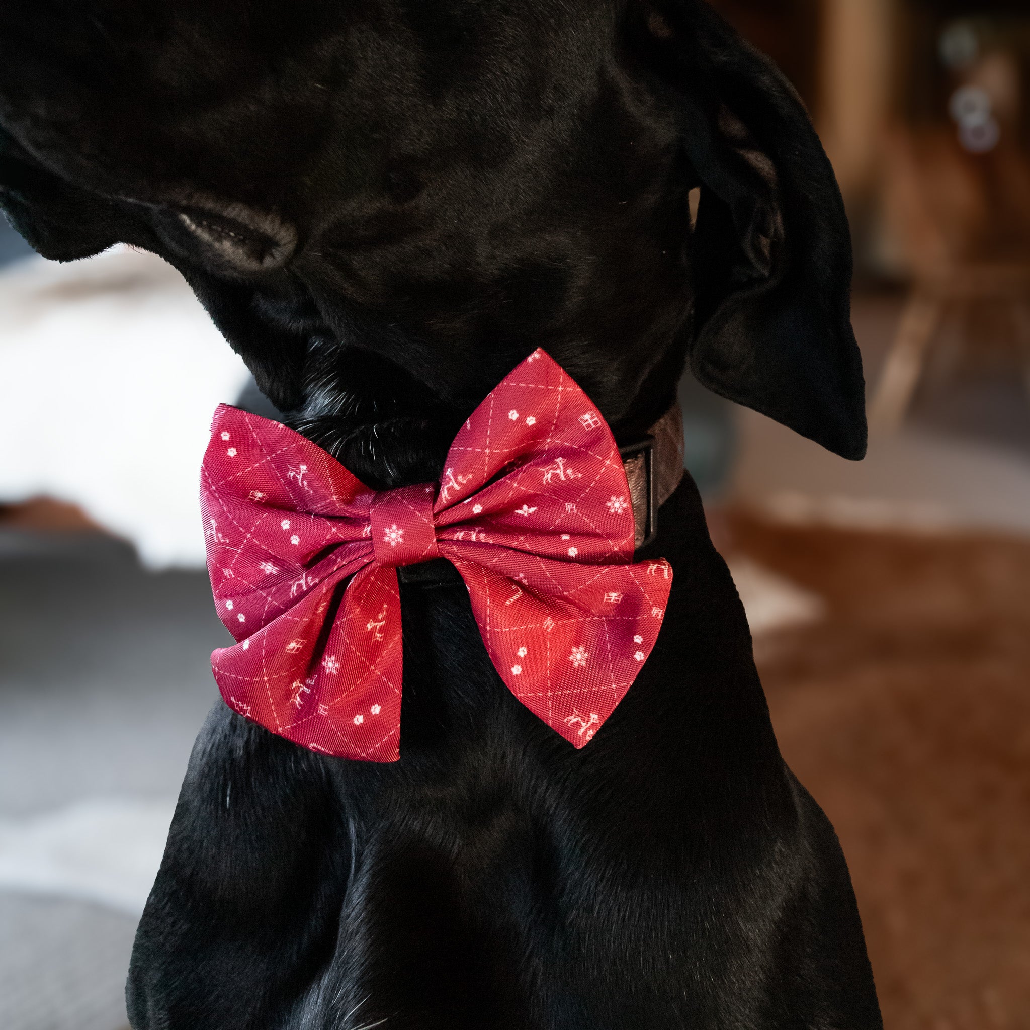 Christmas Bow Tie – Pointer & Hound