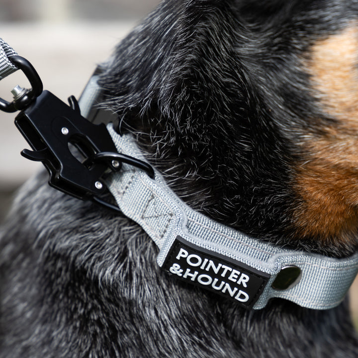 Collars – Pointer & Hound