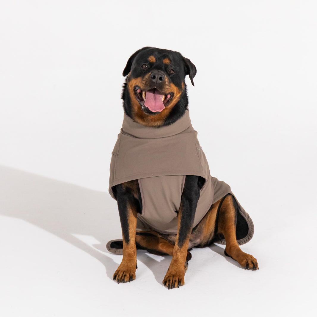 Apparel – Pointer & Hound