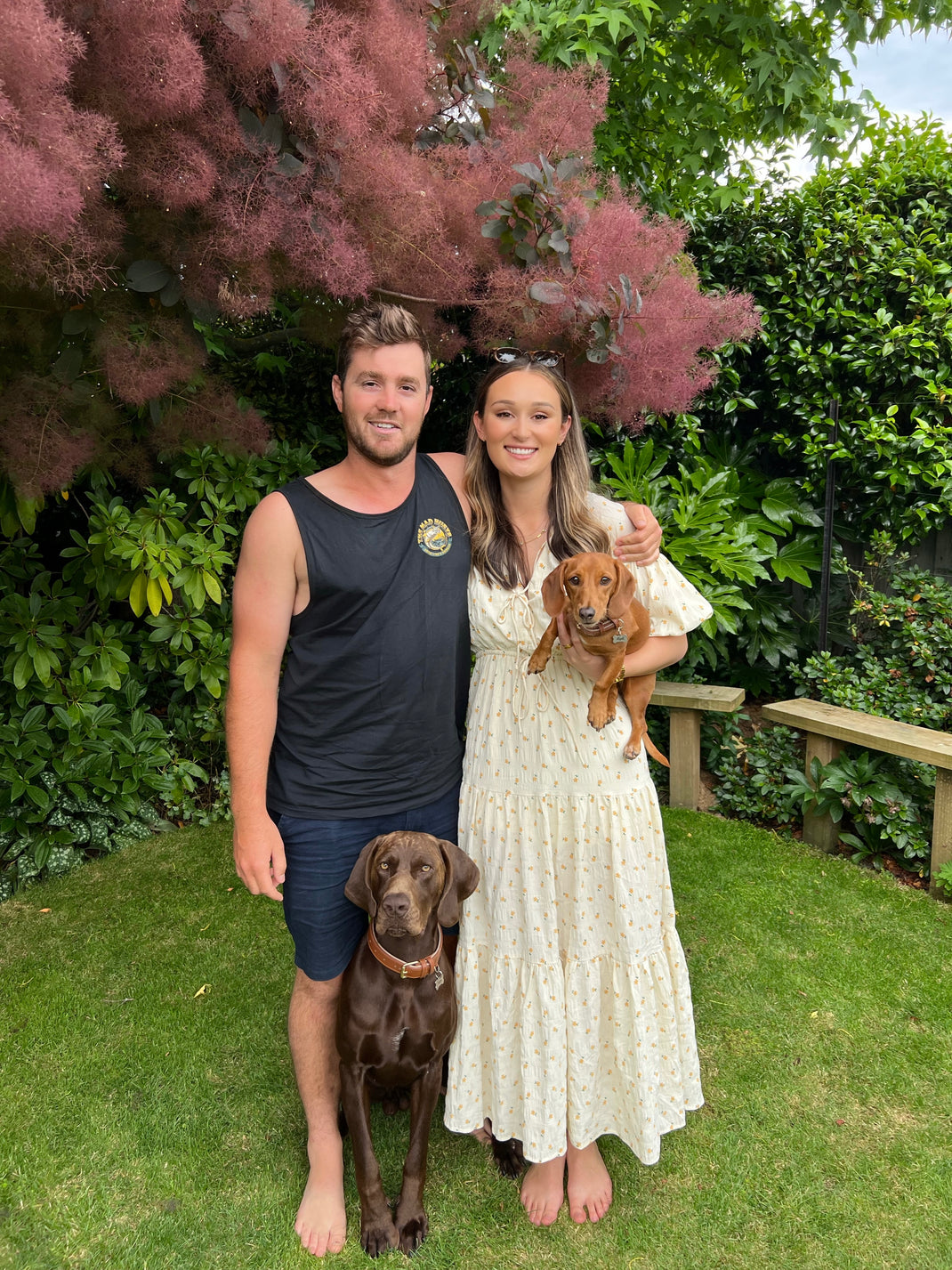 About Us – Pointer & Hound