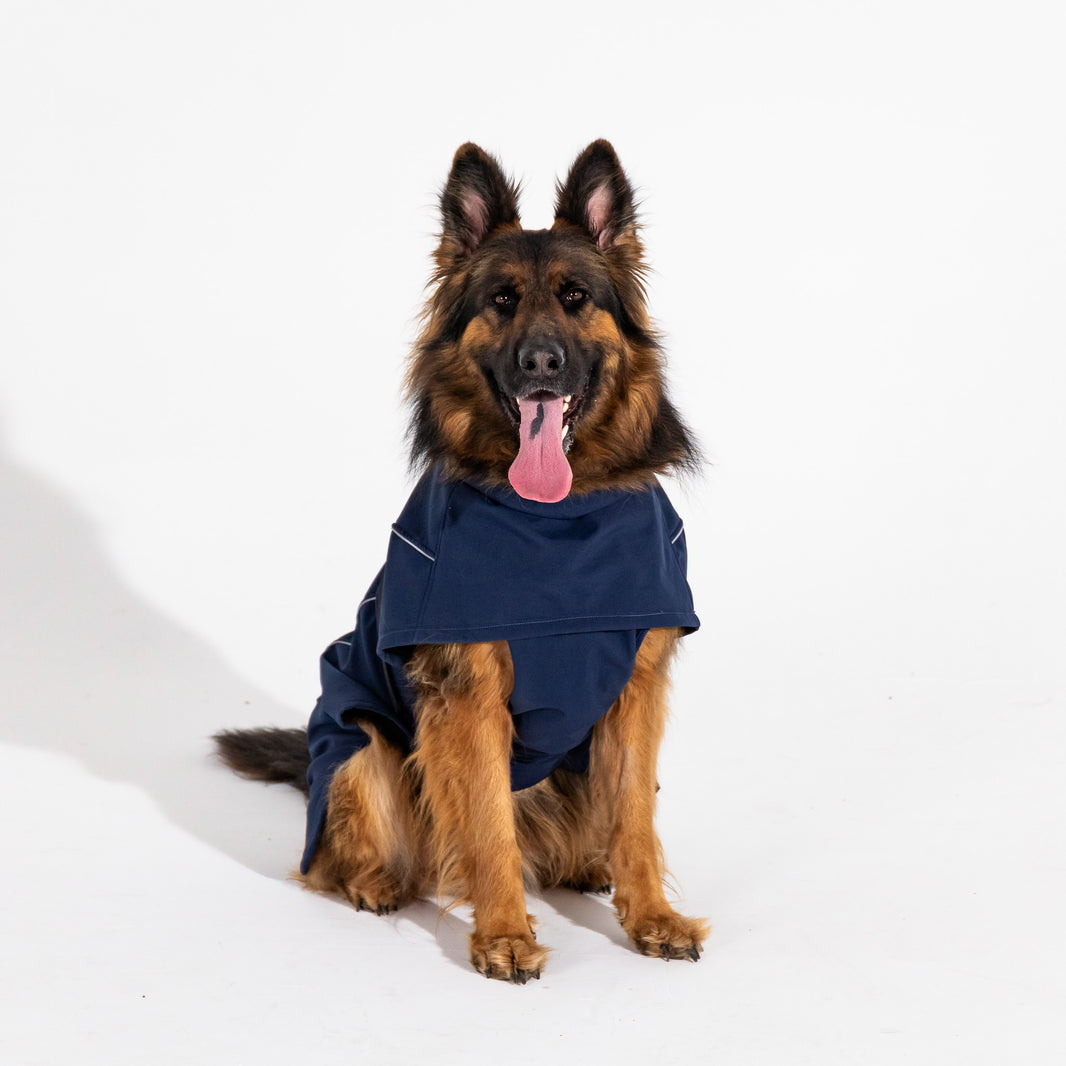 Apparel – Pointer & Hound