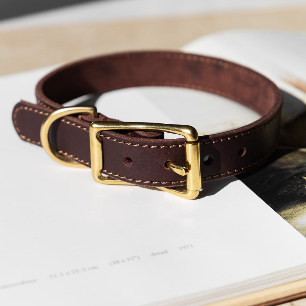 Collars – Pointer & Hound