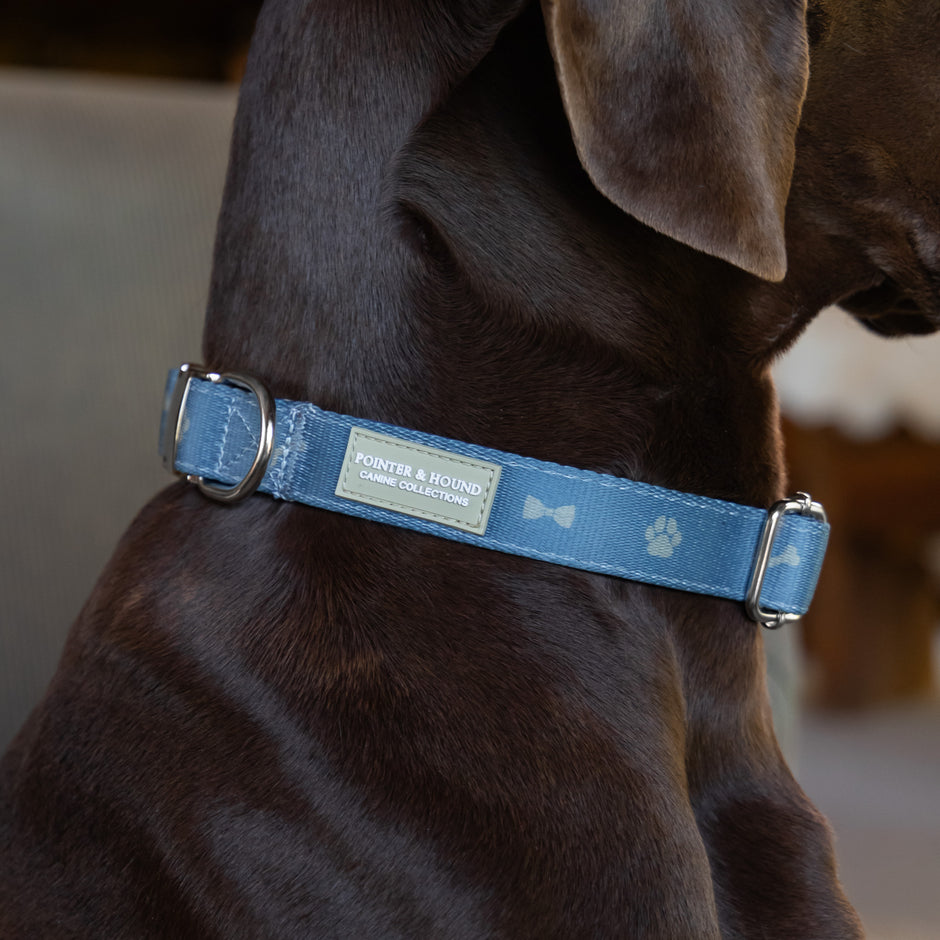 Collars – Pointer & Hound