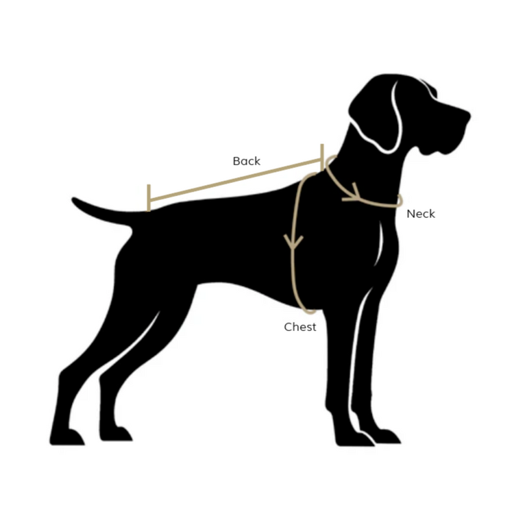 Sizing – Pointer & Hound